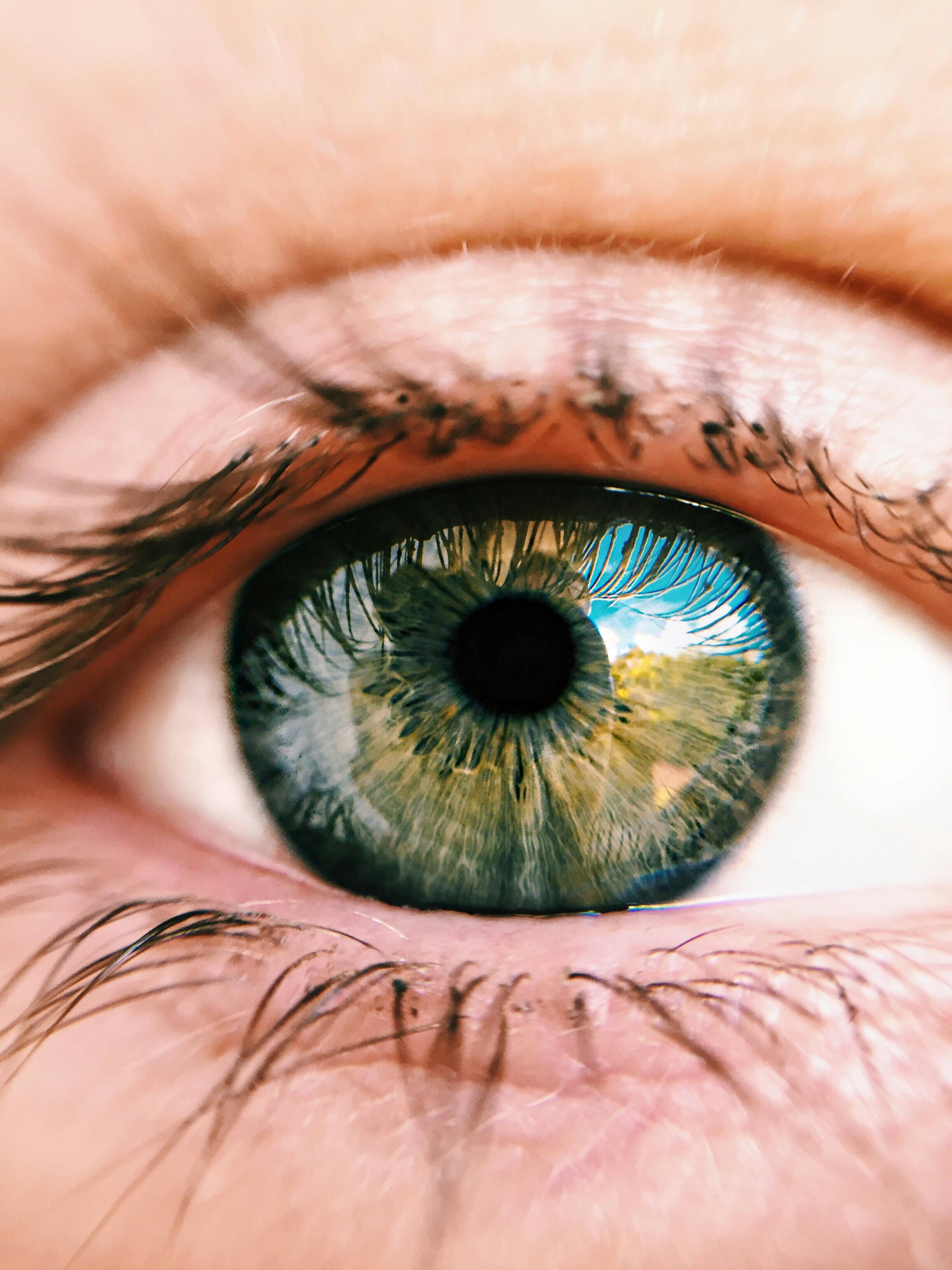 How to Find Perfect Monitor Distance from Eyes and Neck | BenQ US