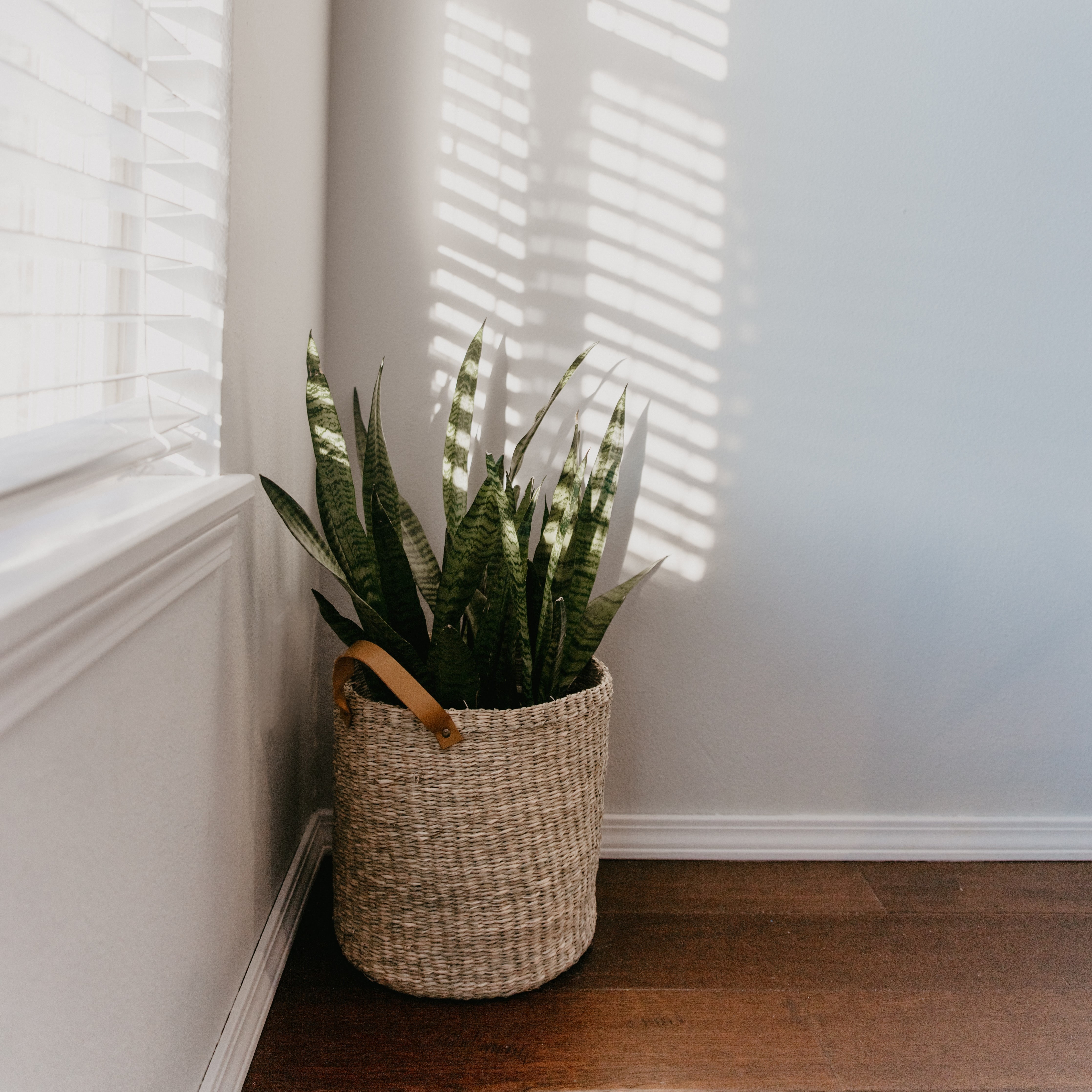Floor lamp placement 101: Where to Put a Floor Lamp in the Living Room ...