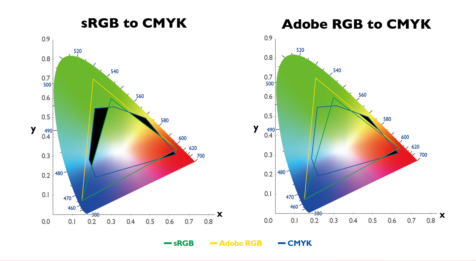 Choosing the Right Photo Editing Monitor for Photography | BenQ US