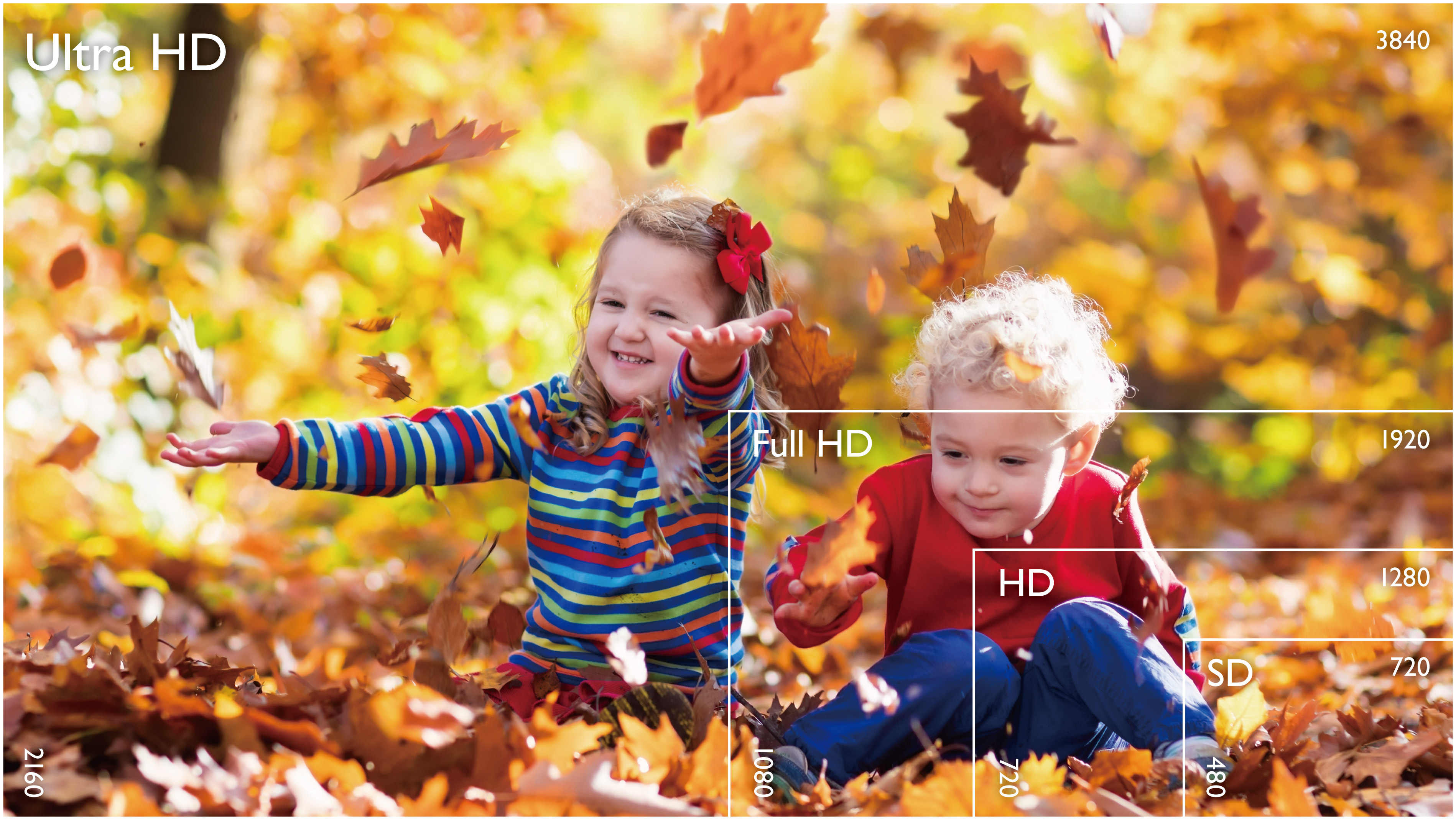 Choosing the Right Photo Editing Monitor for Photography | BenQ US