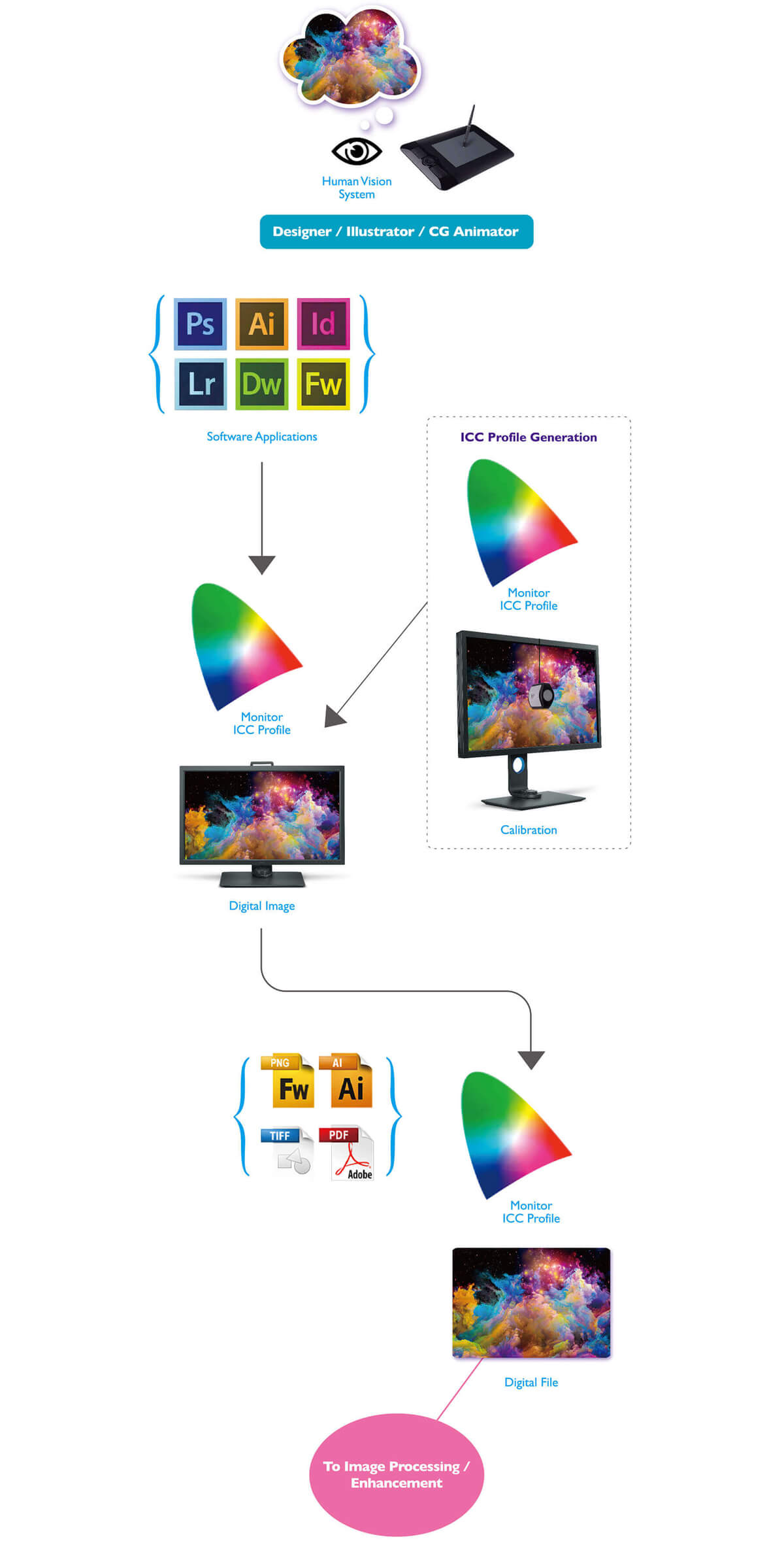 How photographers incorporate with color management workflow | BenQ US