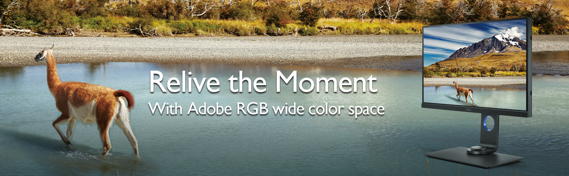 Portrait Mode Monitor for Developers | BenQ US