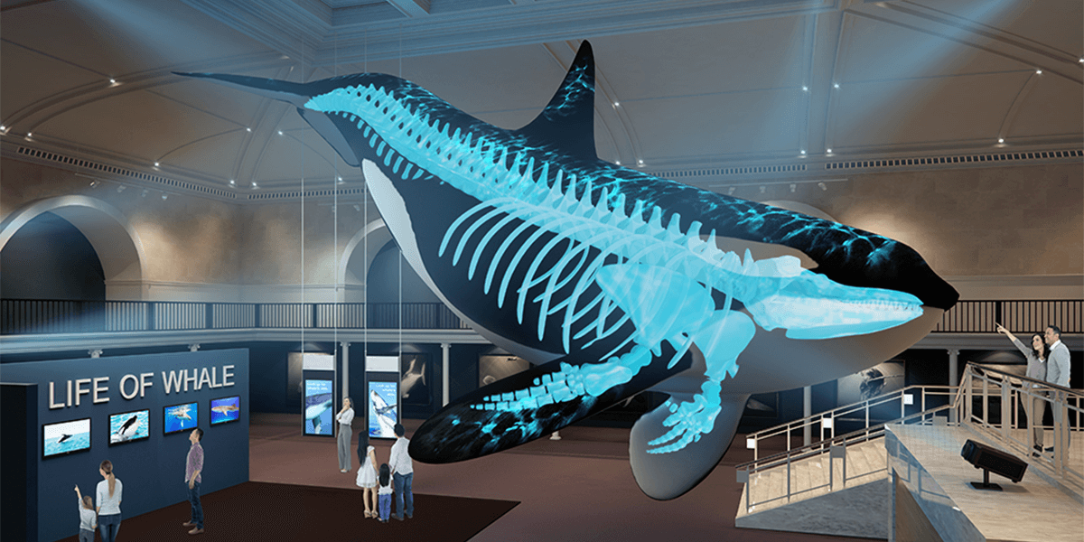 4 Ways to Facilitate Awe-Inspiring Museum Displays through BenQ’s ...
