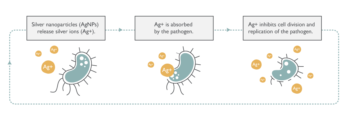 How Nano-Silver Protects Kids' Health in the Classroom | BenQ Business US