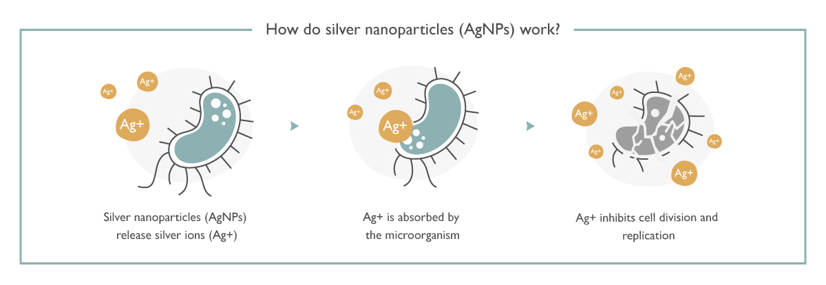 The Silver Bullet: How Nano-ionic Silver Combats Germs on Interactive Displays | BenQ Business ...