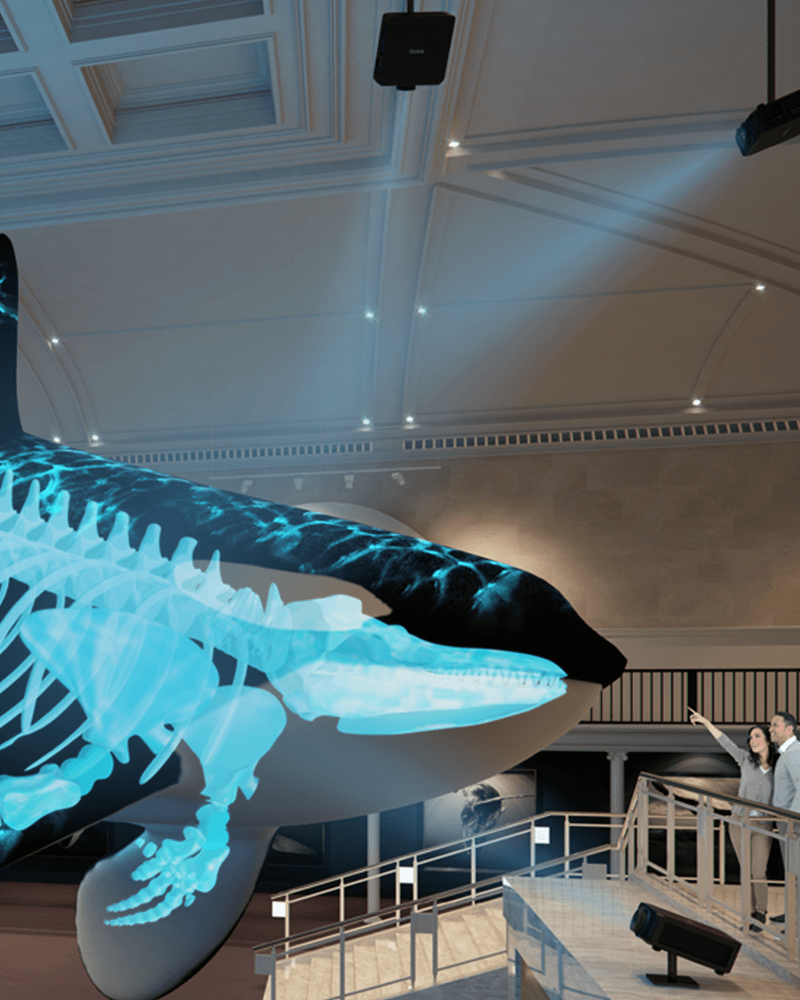 Large Venue Projectors