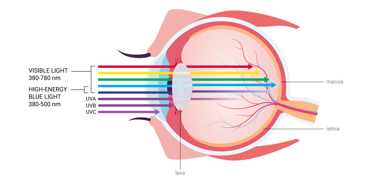 How Eyesafe® Certified 2.0 BenQ Boards Protect Student from Blue Light ...
