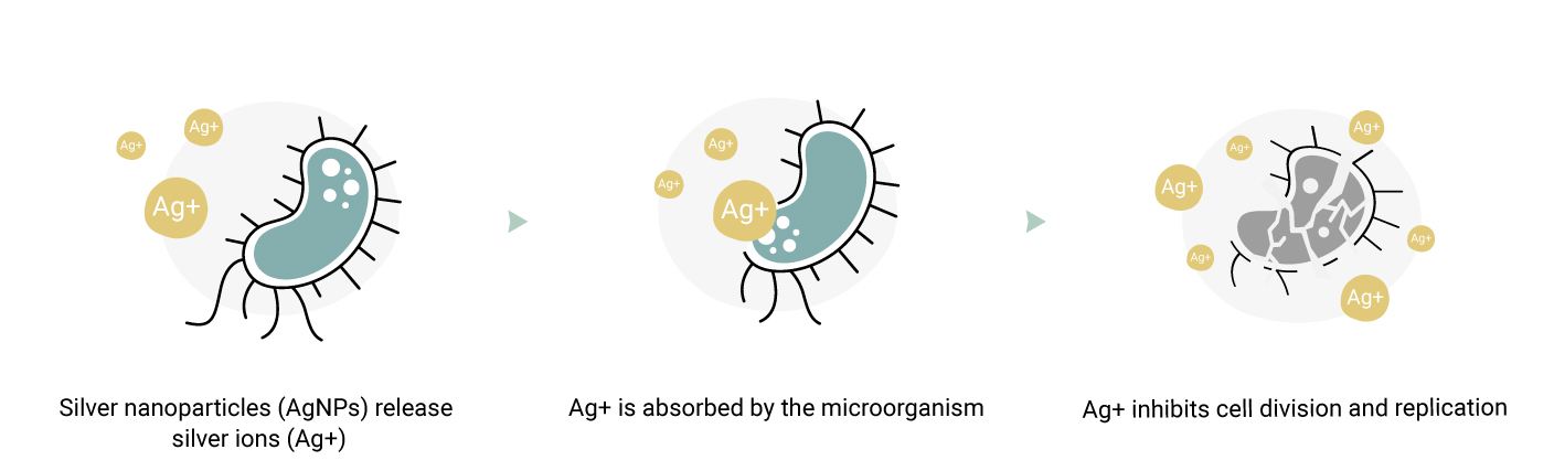 How does nano-ionic silver combat germs on BenQ Boards? | BenQ ...